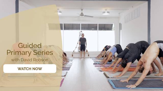 Guided Ashtanga Yoga Classes - Practice Courses on Omstars