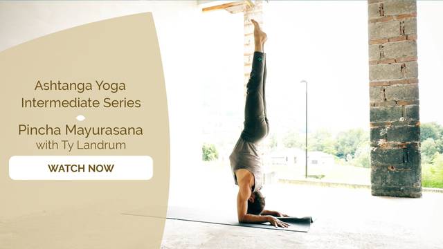 Ashtanga Yoga Intermediate Series Practice & Pose Tutorials - Practice ...