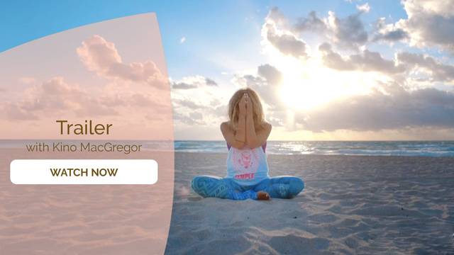 Omstars The Yoga Network Online Yoga Videos Free Yoga Challenges