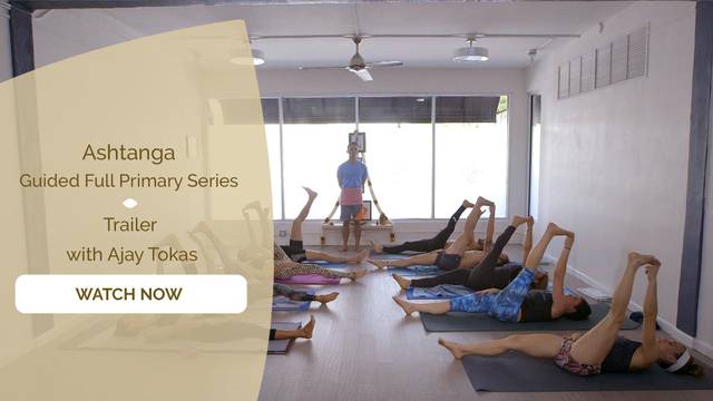 Omstars - the Yoga Network - Online Yoga Videos, FREE Yoga Challenges ...