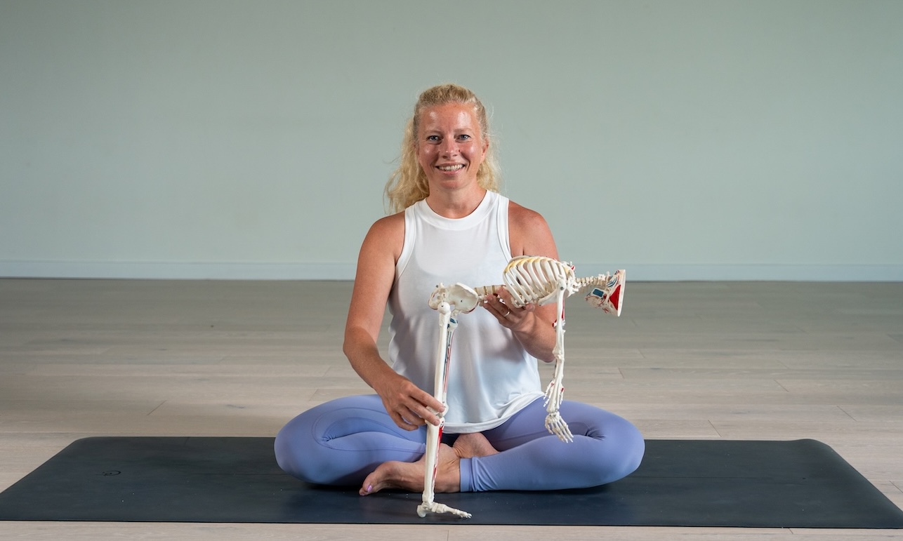 Ashtanga Asana Lab for Lotus Pose: Anatomy & Practice - Practice ...